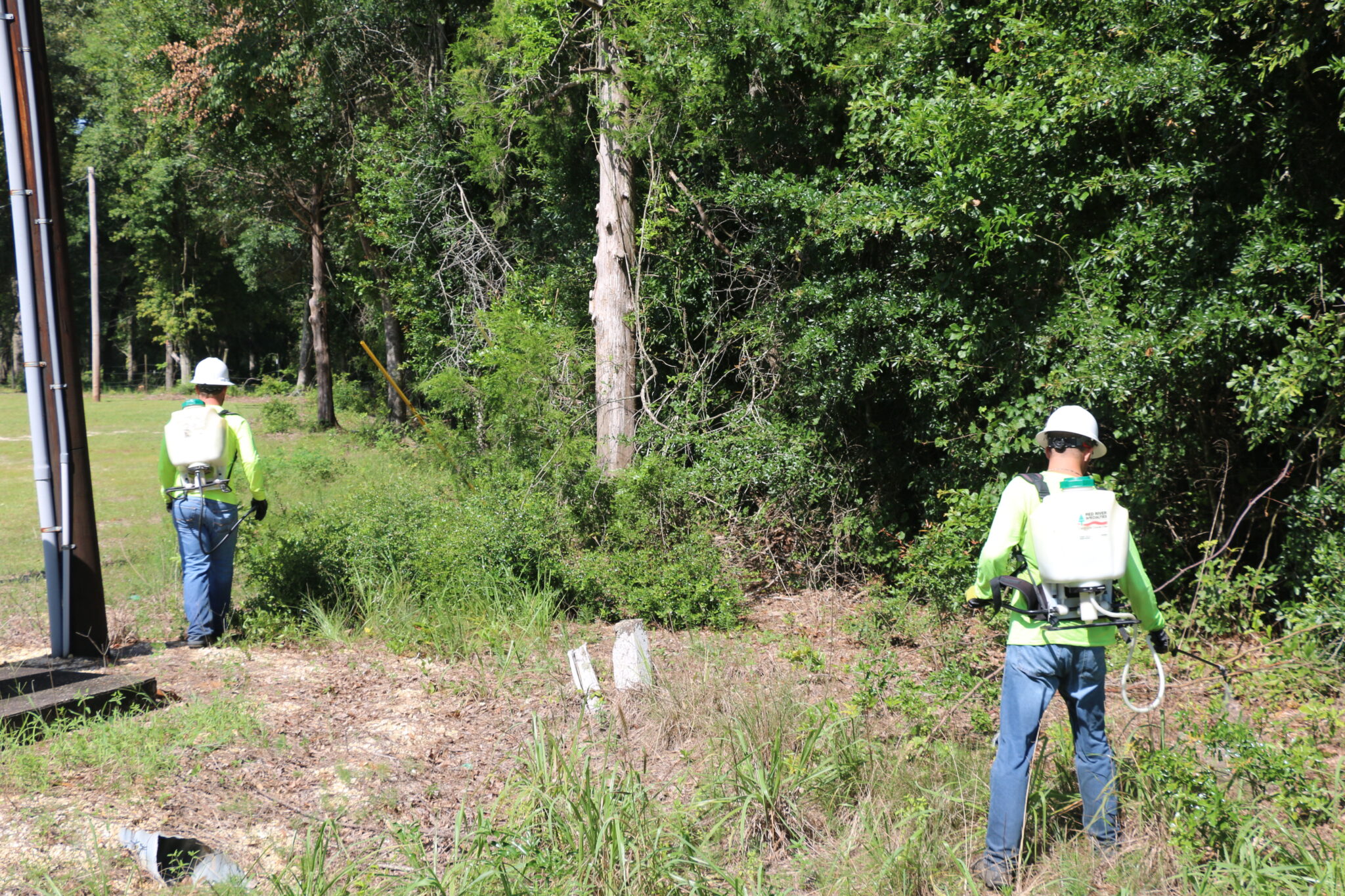 Right-of-Way (ROW) Maintenance is Very Important – Covington Electric ...